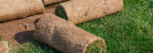 Turf – BioLynceus, LLC